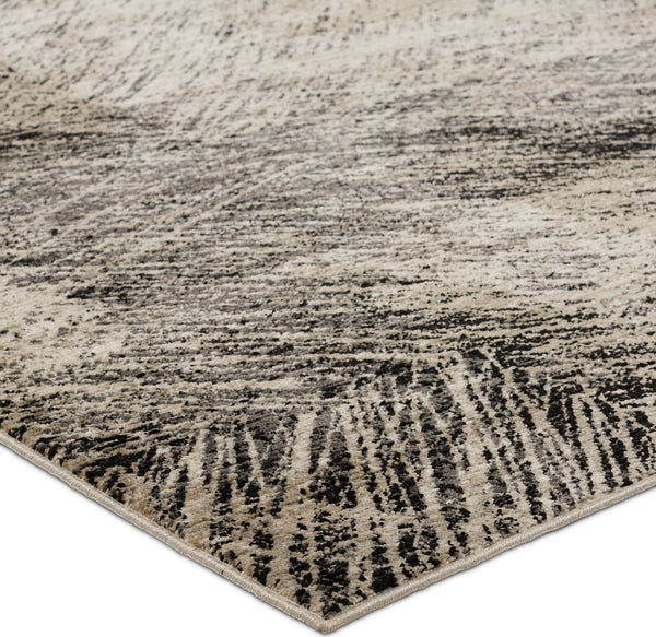 Jaipur Living Graphite Dairon GRA04 Black/Taupe Area Rug – Incredible Rugs and Decor
