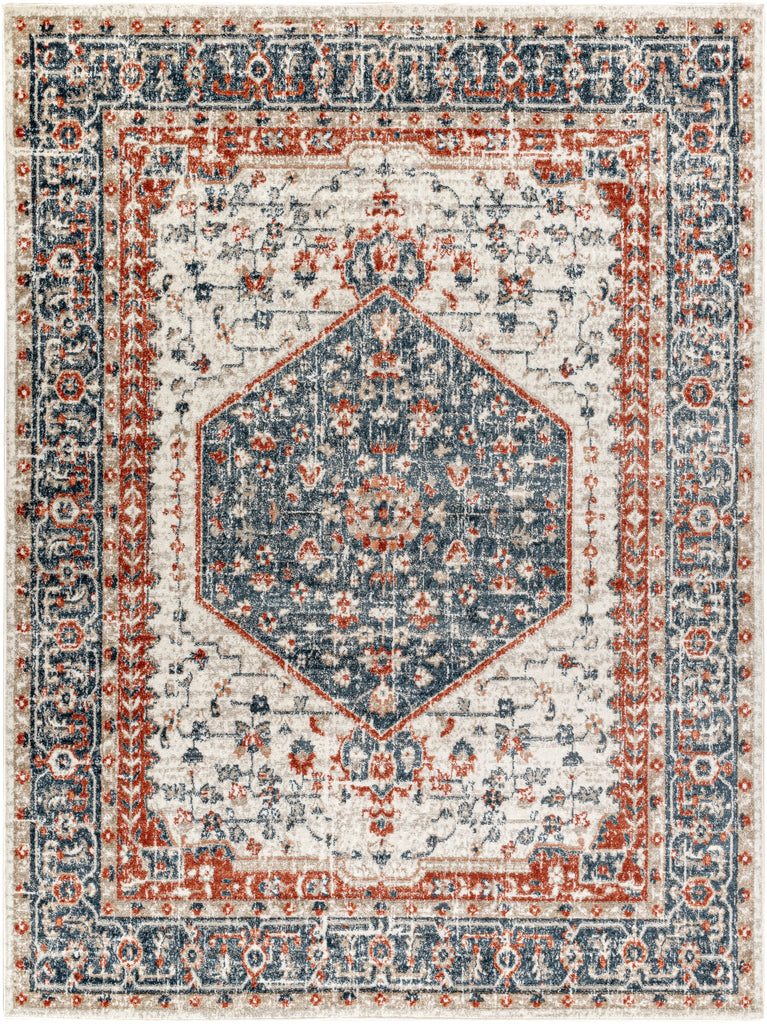 Surya Davaro DAV-2305 Area Rug – Incredible Rugs and Decor
