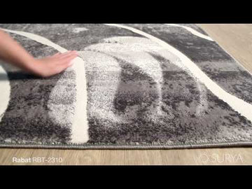 Livabliss Rabat RBT-2310 Area Rug – Incredible Rugs and Decor