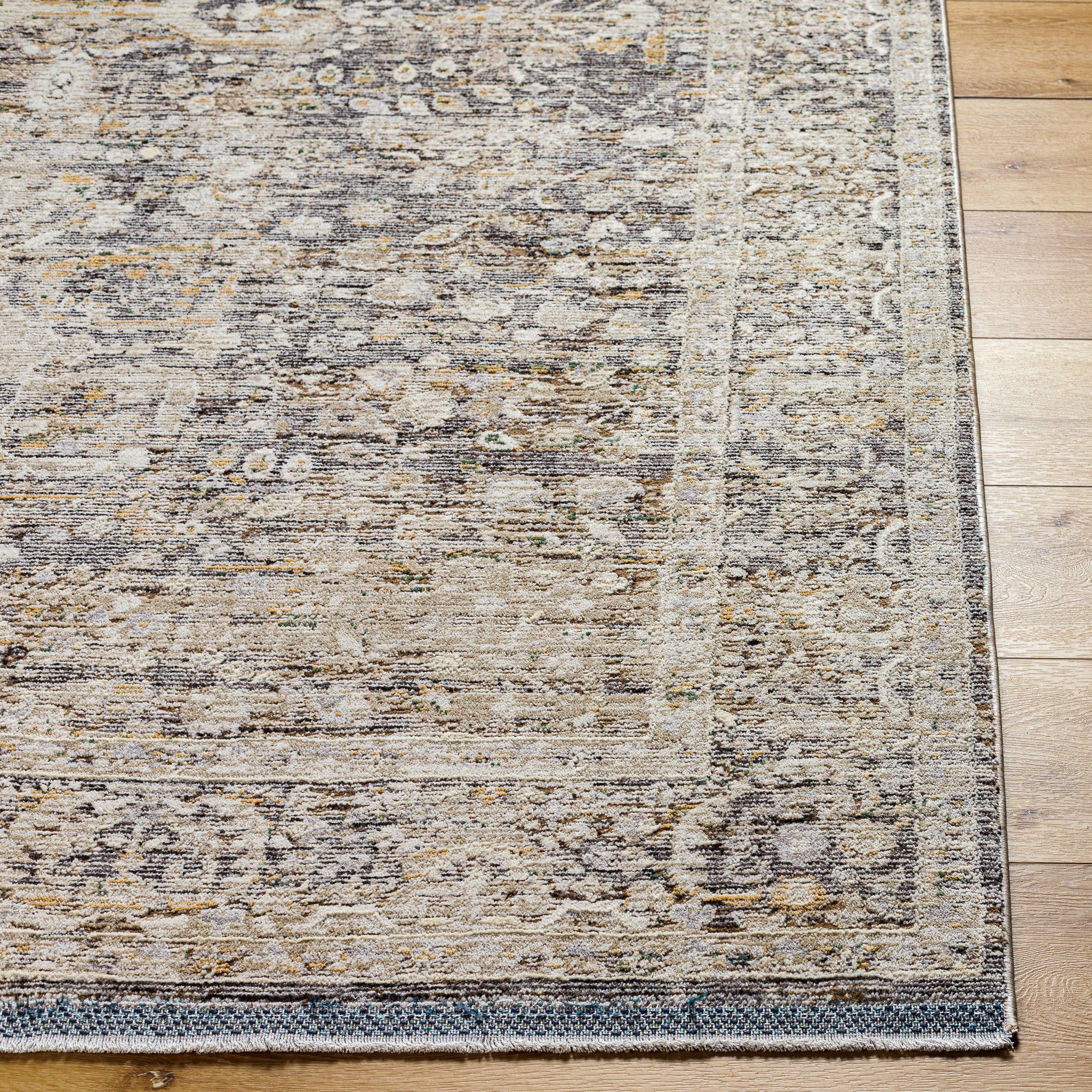 Livabliss Rivaldo RVD-2302 Area Rug – Incredible Rugs and Decor