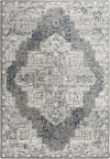 Rizzy Anatolia ANT740 Gray/Ivory Area Rug – Incredible Rugs and Decor