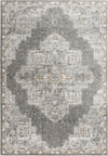 Rizzy Anatolia ANT740 Gray/Ivory Area Rug – Incredible Rugs and Decor
