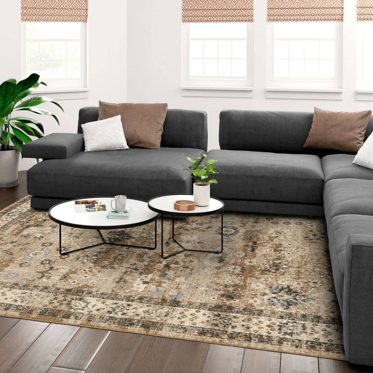 Karastan Rhapsody Bucolic Stone Area Rug – Incredible Rugs and Decor