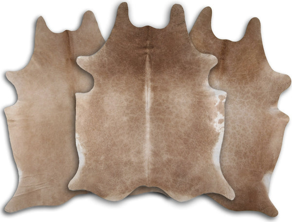 Dekoland Natural Colors Caramel Area Rug – Incredible Rugs and Decor