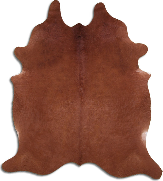 Dekoland Natural Colors Brown Area Rug – Incredible Rugs and Decor