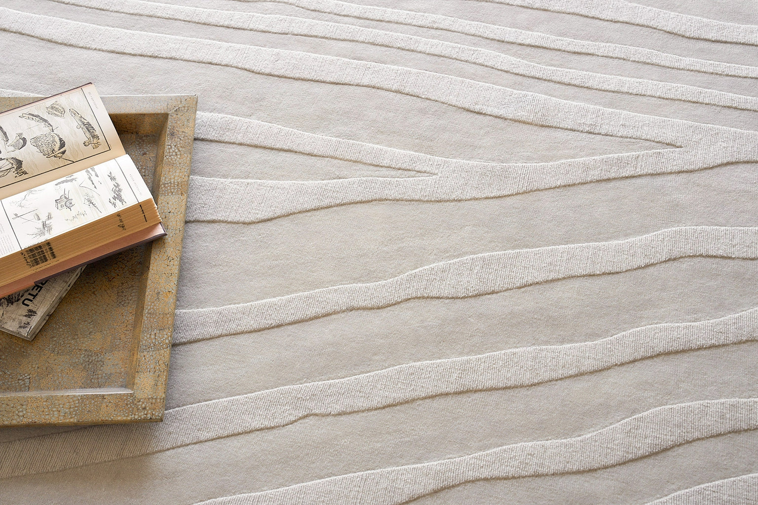 Exquisite Rugs Tempo 6189 Light Silver Area Rug – Incredible Rugs and Decor