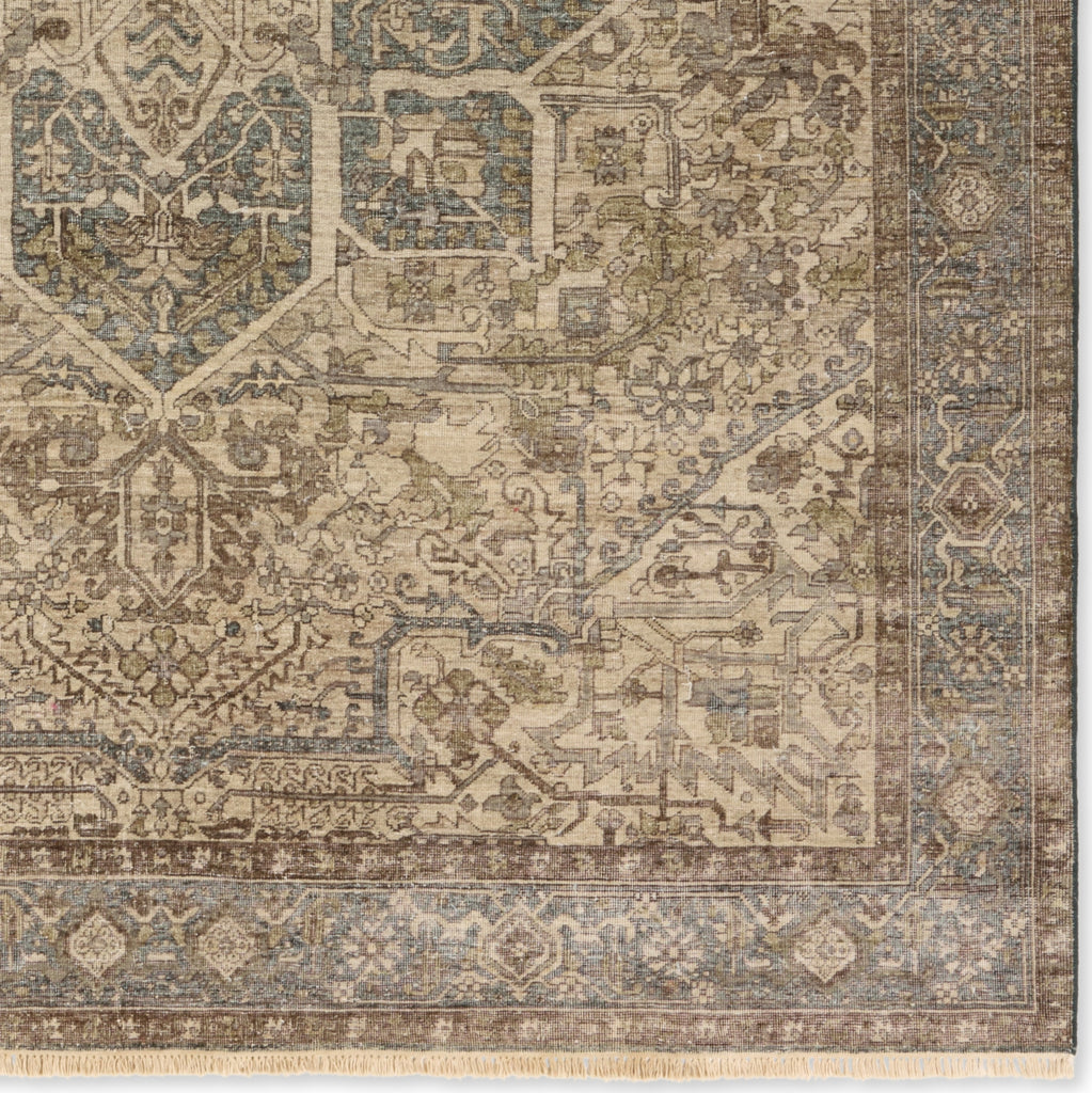 Jaipur Living Someplace In Time Anzad SPT23 Brown/Beige Area Rug ...