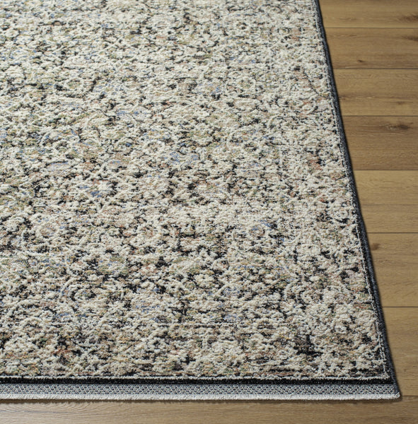 LIVABLISS Rivaldo RVD-2300 Area Rug – Incredible Rugs and Decor