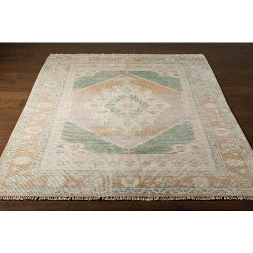 Surya Anadolu AAU-2303 Area Rug – Incredible Rugs and Decor