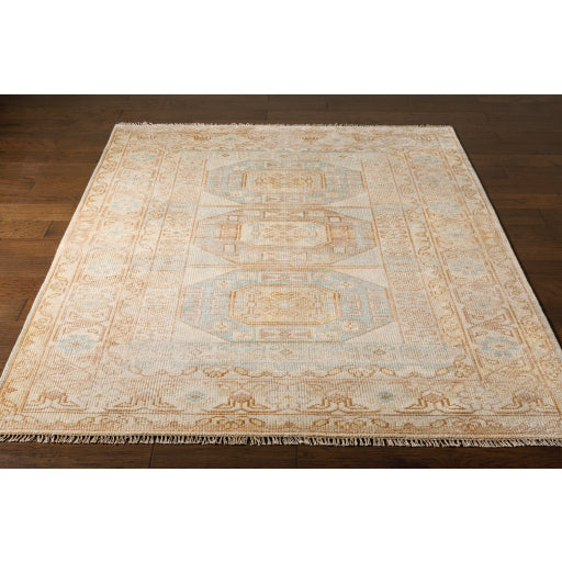 Surya Anadolu AAU-2304 Area Rug – Incredible Rugs and Decor