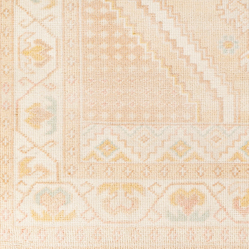 Surya Anadolu AAU-2305 Area Rug – Incredible Rugs and Decor