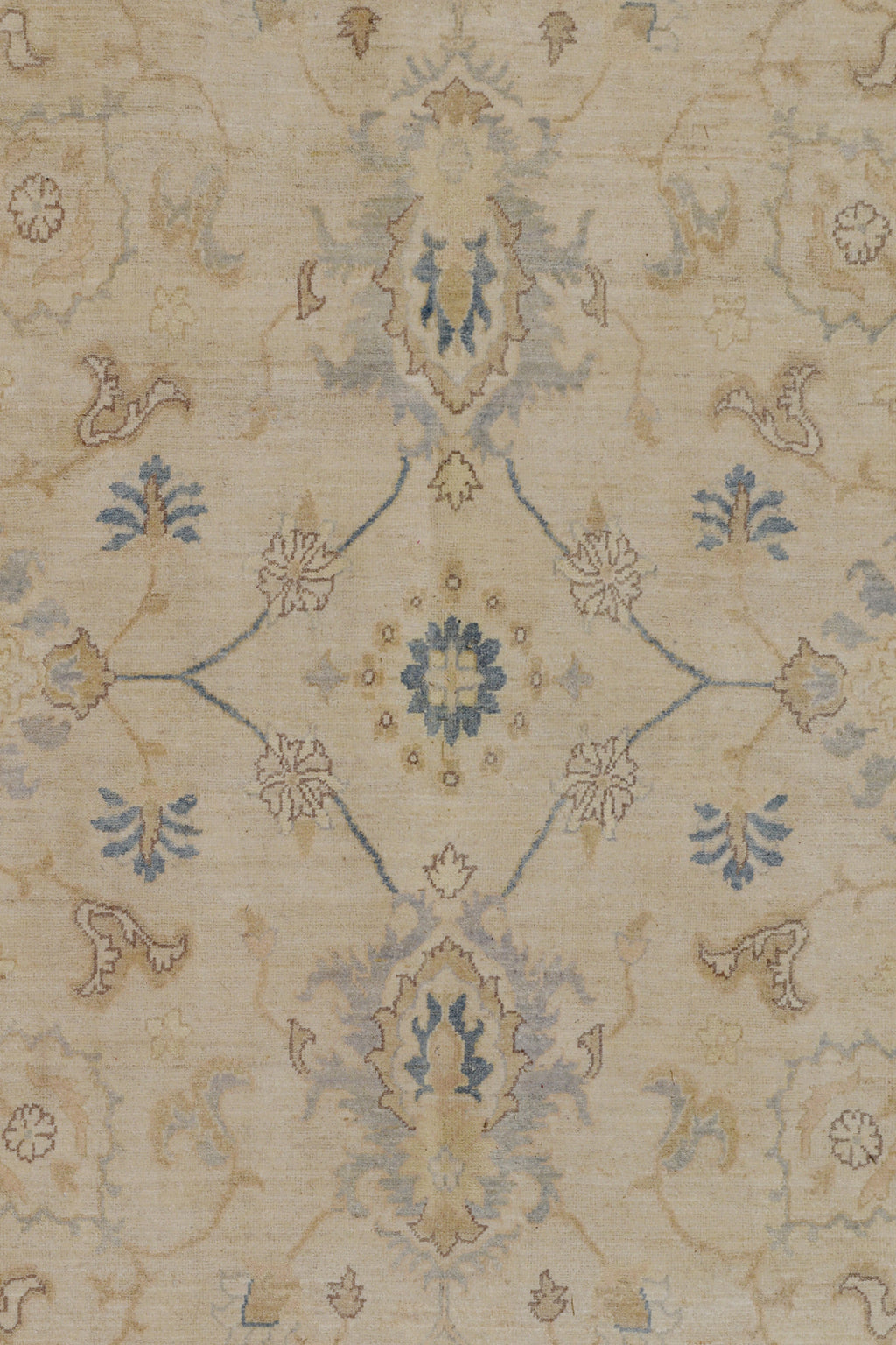 Kalaty Super Pak Ivory Area Rug – Incredible Rugs and Decor