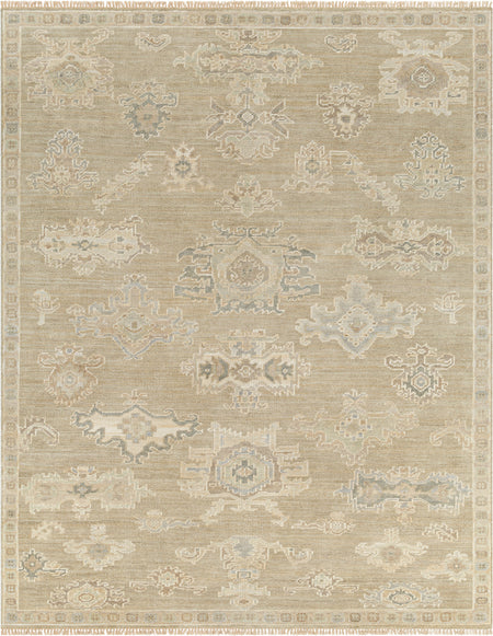 Surya Antalya AAT-2305 Area Rug – Incredible Rugs and Decor