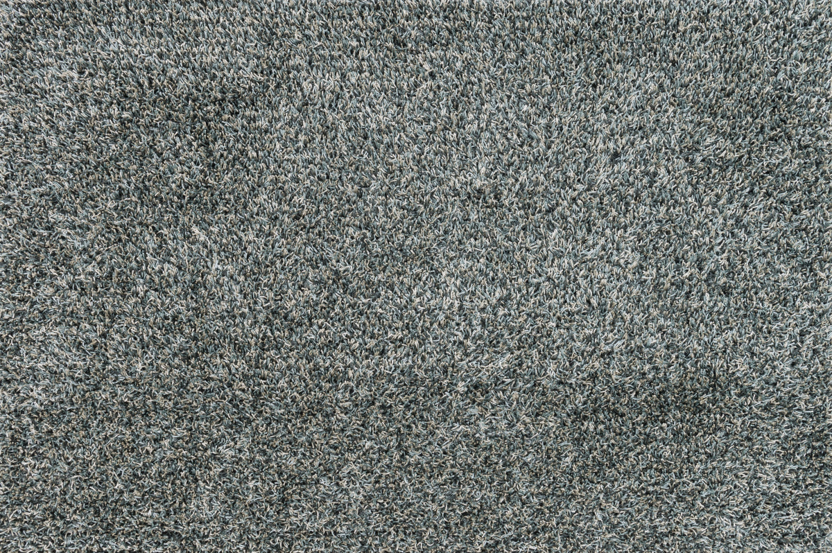 Loloi Carrera Shag CG-02 Mist / Slate Area Rug – Incredible Rugs and Decor