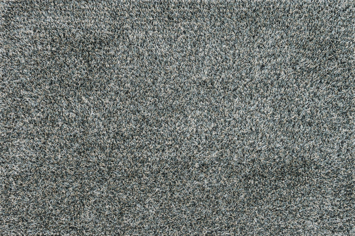 Loloi Carrera Shag CG-02 Mist / Slate Area Rug – Incredible Rugs and Decor