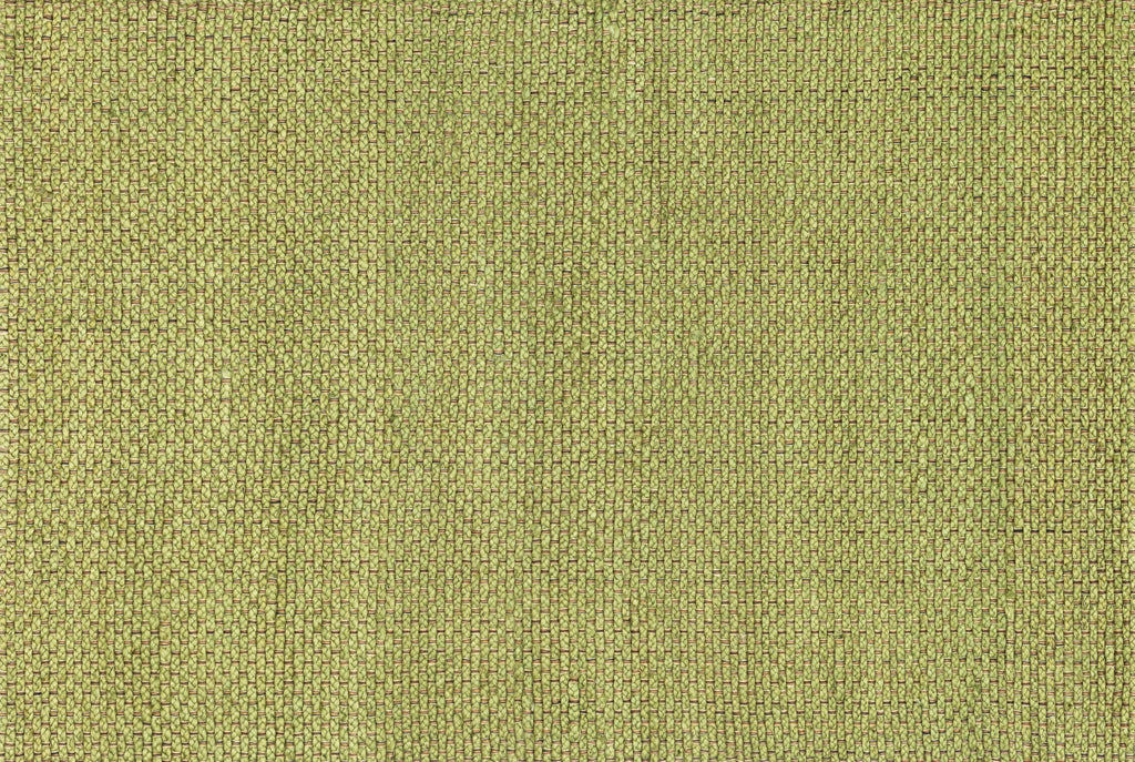 Loloi Eco EC-01 Green Area Rug – Incredible Rugs and Decor