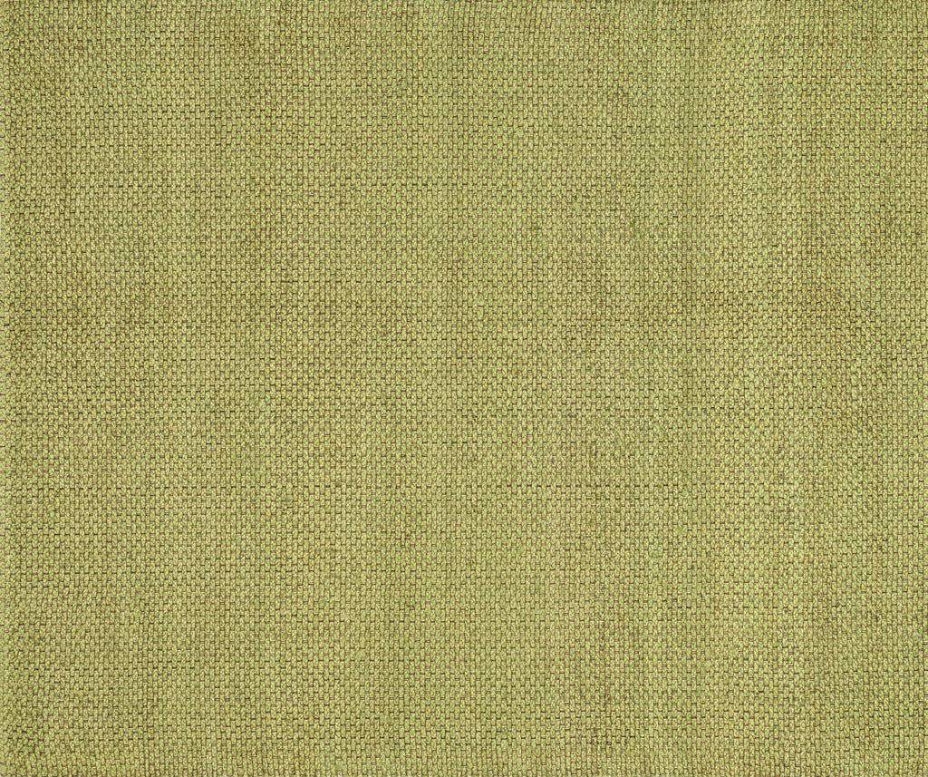 Loloi Eco EC-01 Green Area Rug – Incredible Rugs and Decor