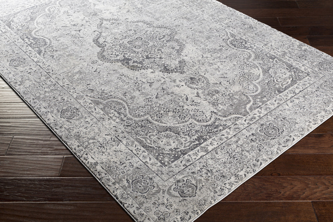 Surya Aisha AIS-2319 Area Rug – Incredible Rugs and Decor