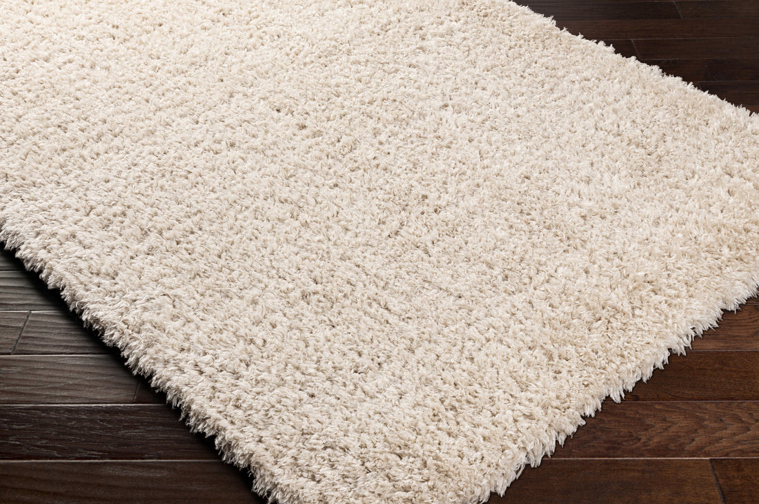 Livabliss Angora ANG-2301 Area Rug – Incredible Rugs and Decor