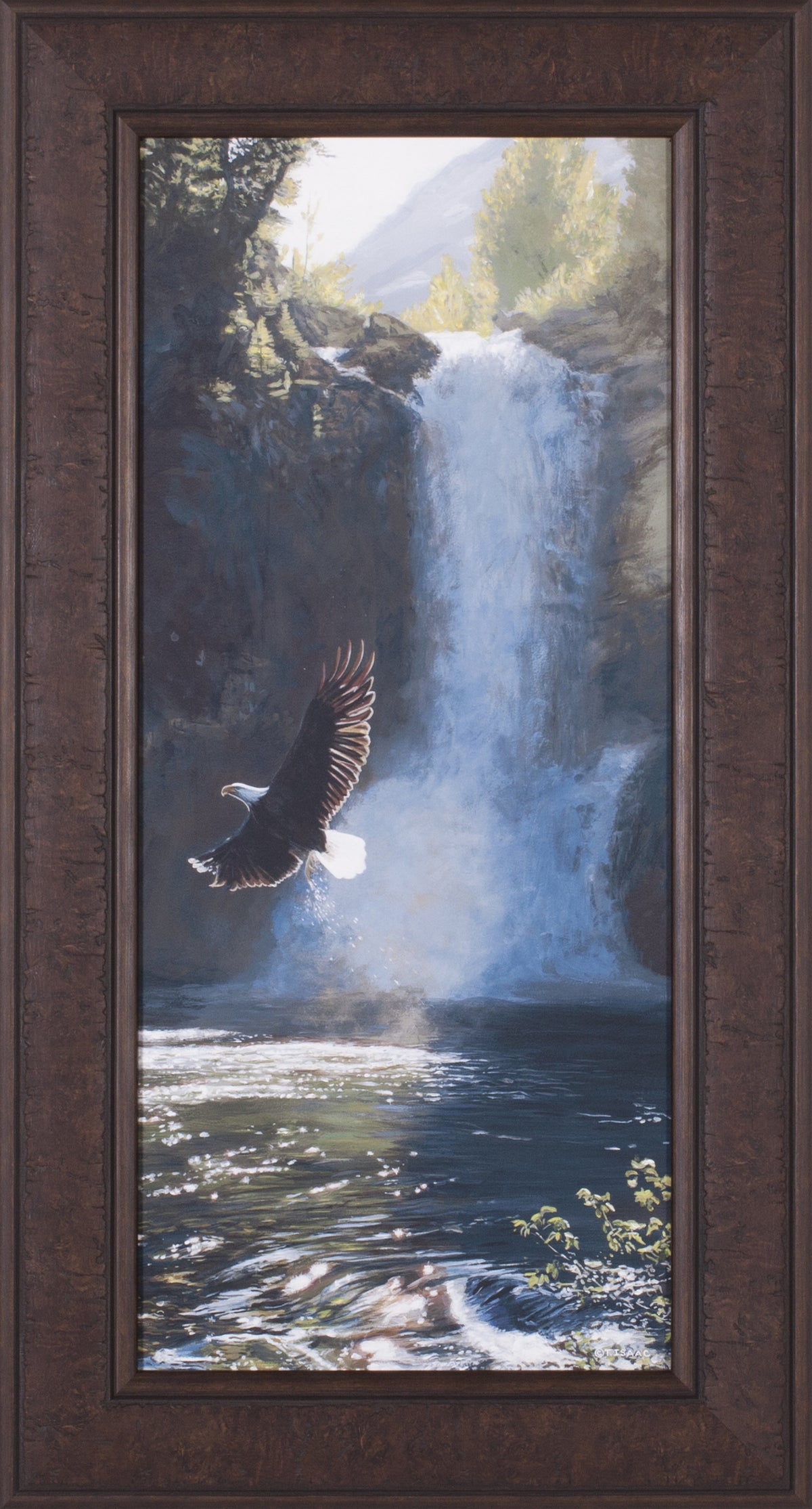 Art Effects Wings Over Water Wall Art by Terry Issac – Incredible Rugs ...