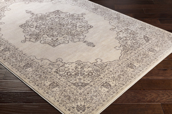 Surya Asia Minor ASM-2308 Area Rug – Incredible Rugs and Decor