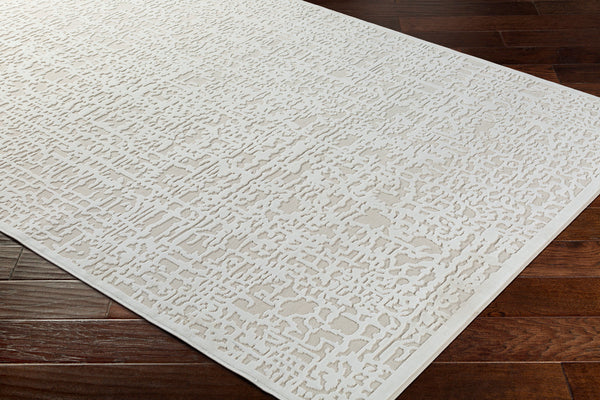 Surya Aesop ASP-2322 Area Rug – Incredible Rugs and Decor