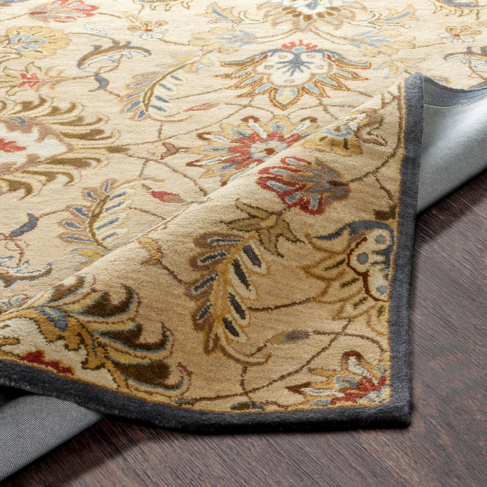 Surya Caesar CAE-1118 Area Rug – Incredible Rugs and Decor