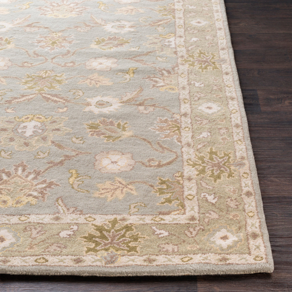 Surya Caesar CAE-1126 Area Rug – Incredible Rugs and Decor