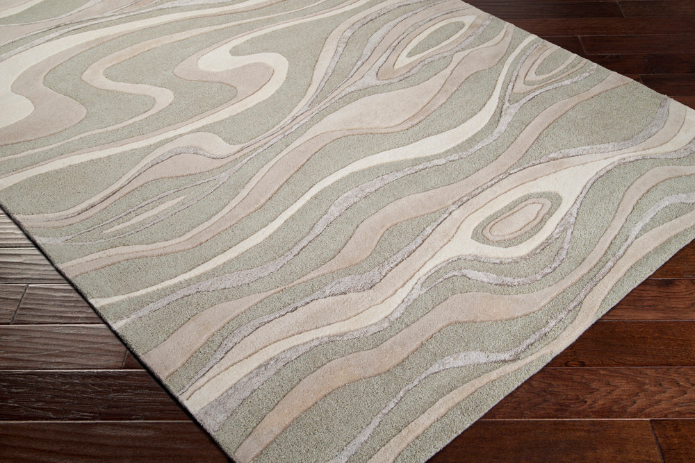 Surya Modern Classics CAN-1927 Area Rug by Candice Olson – Incredible ...