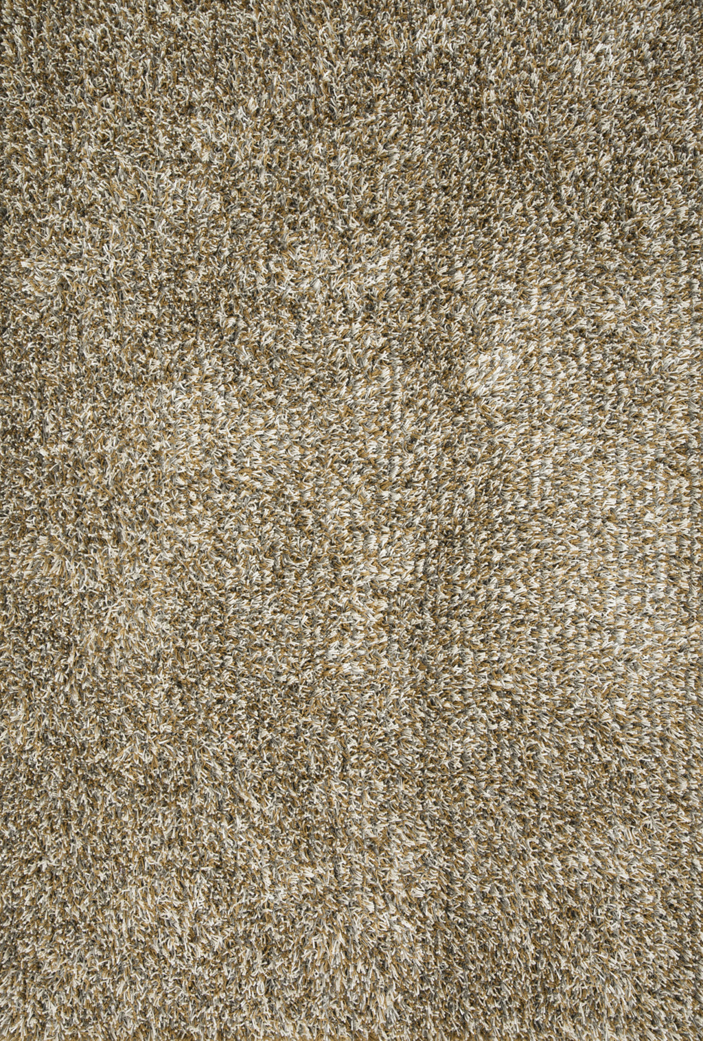 Loloi Carrera Shag CG-02 Gold/Silver Area Rug – Incredible Rugs and Decor
