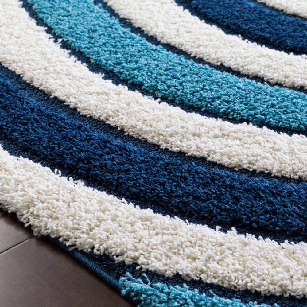 Surya Cut and Loop Shag CLG-2300 Area Rug – Incredible Rugs and Decor