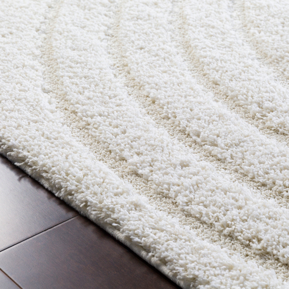 Surya Cut and Loop Shag CLG-2301 Area Rug – Incredible Rugs and Decor