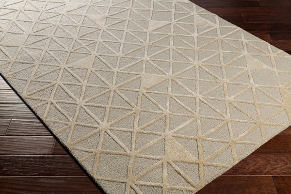 Surya Colorado COD-1004 Area Rug – Incredible Rugs and Decor