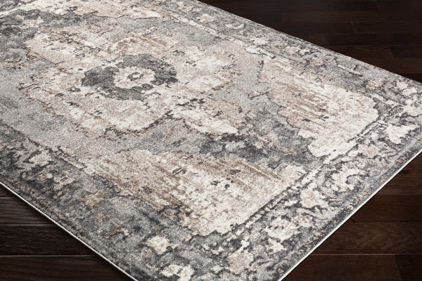 LIVABLISS Chelsea CSA-2304 Area Rug – Incredible Rugs and Decor