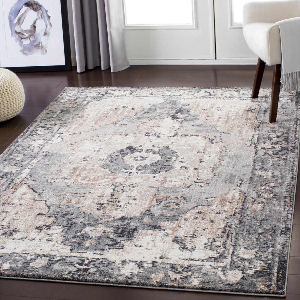 Livabliss Chelsea CSA-2304 Area Rug – Incredible Rugs and Decor