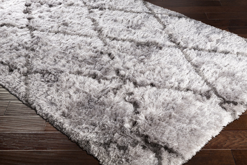 Surya Corsair CSR-1003 Area Rug – Incredible Rugs and Decor