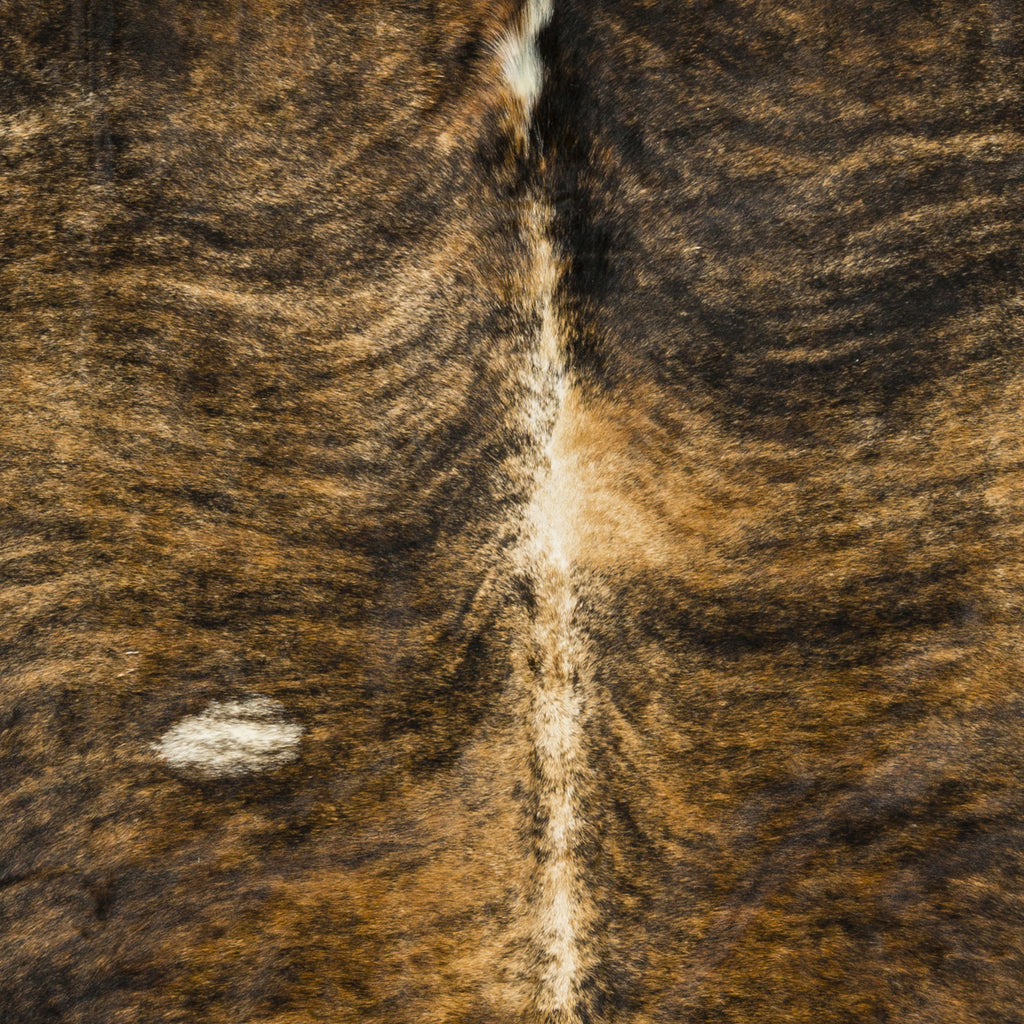 Surya Duke DUK-1003 Area Rug – Incredible Rugs and Decor