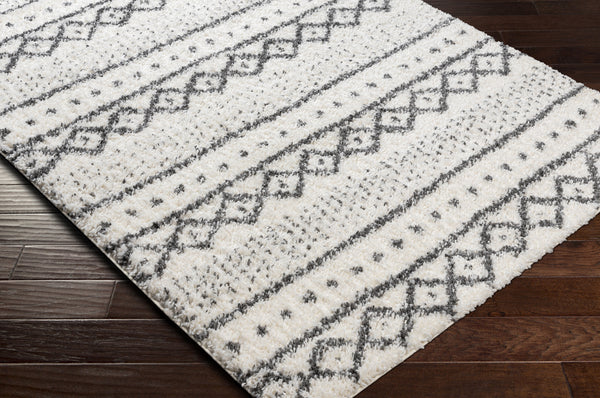 Surya Deluxe Shag DXS-2319 Area Rug – Incredible Rugs and Decor