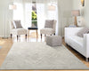 Dynamic Rugs Quartz 27041 Ivory Area Rug – Incredible Rugs and Decor