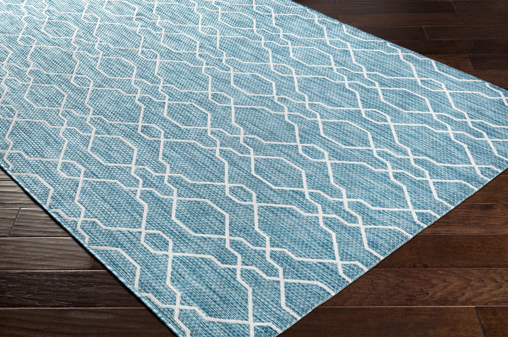 Surya Eagean EAG-2383 Area Rug – Incredible Rugs and Decor