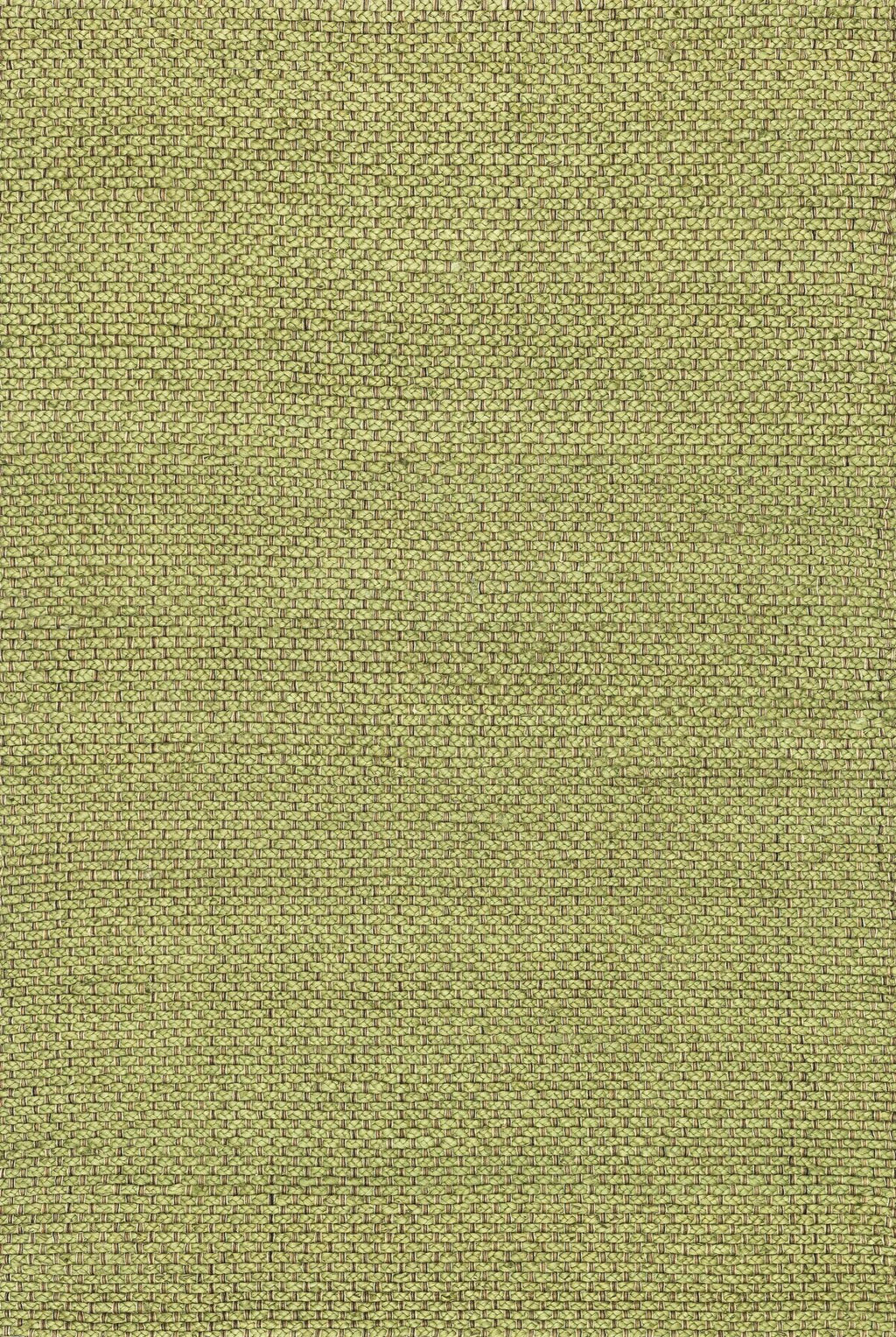 Loloi Eco EC-01 Green Area Rug – Incredible Rugs and Decor