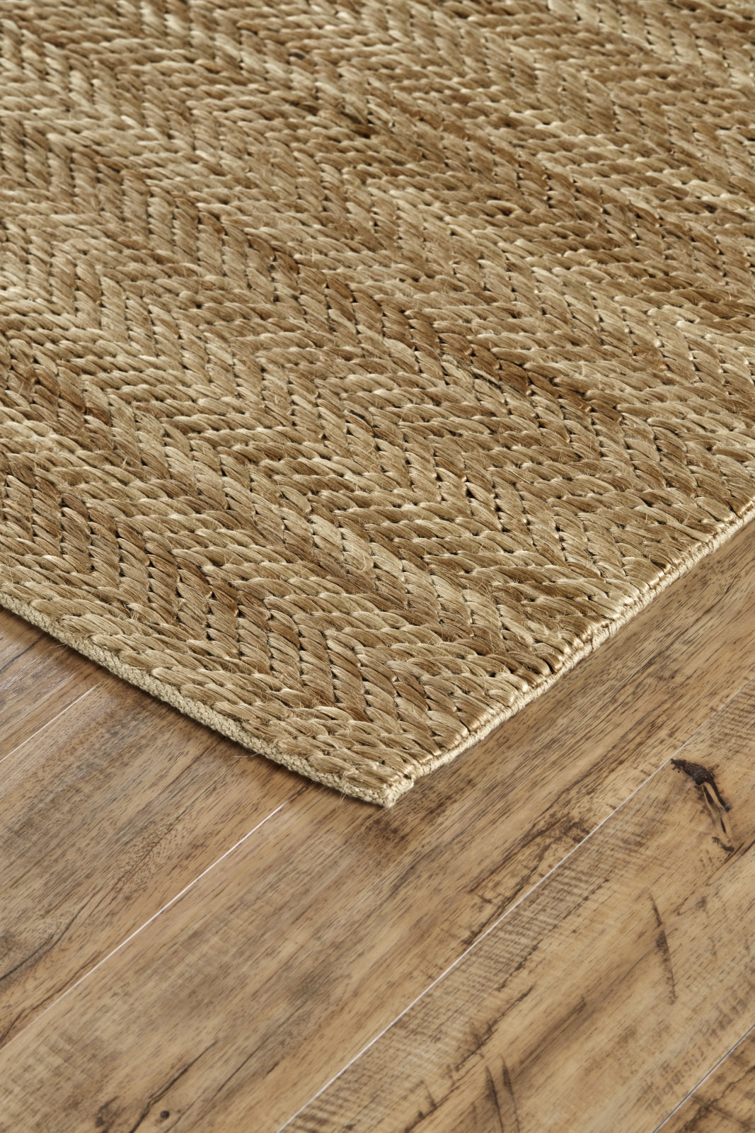 Feizy Kaelani 0770F Tan Area Rug – Incredible Rugs and Decor