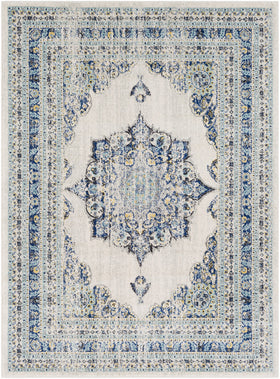 Livabliss Harput HAP-1031 Area Rug – Incredible Rugs and Decor