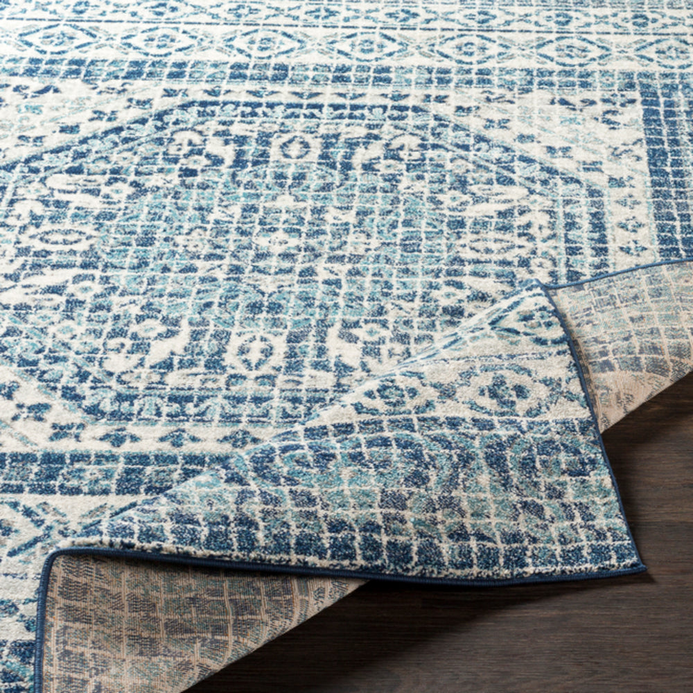 Surya Harput HAP-1081 Area Rug – Incredible Rugs and Decor