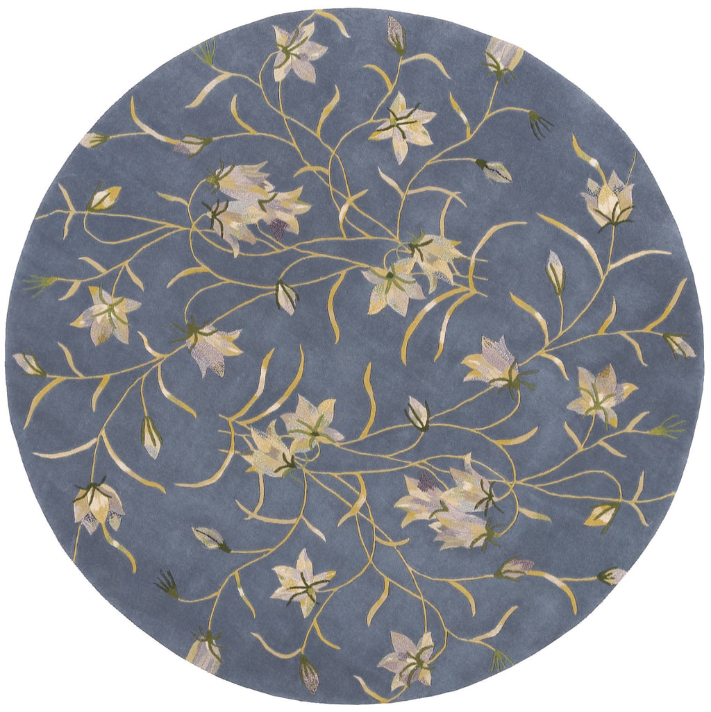 Nourison Julian JL33 Light Blue Area Rug – Incredible Rugs and Decor