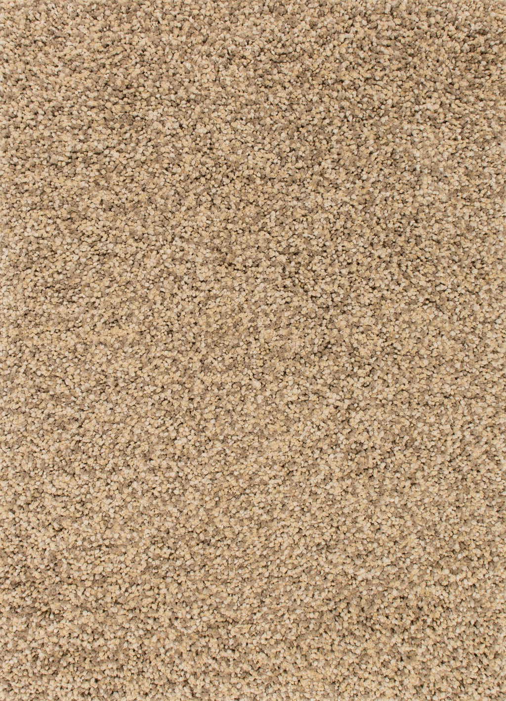 Loloi Olin OL-01 Neutral Area Rug – Incredible Rugs and Decor