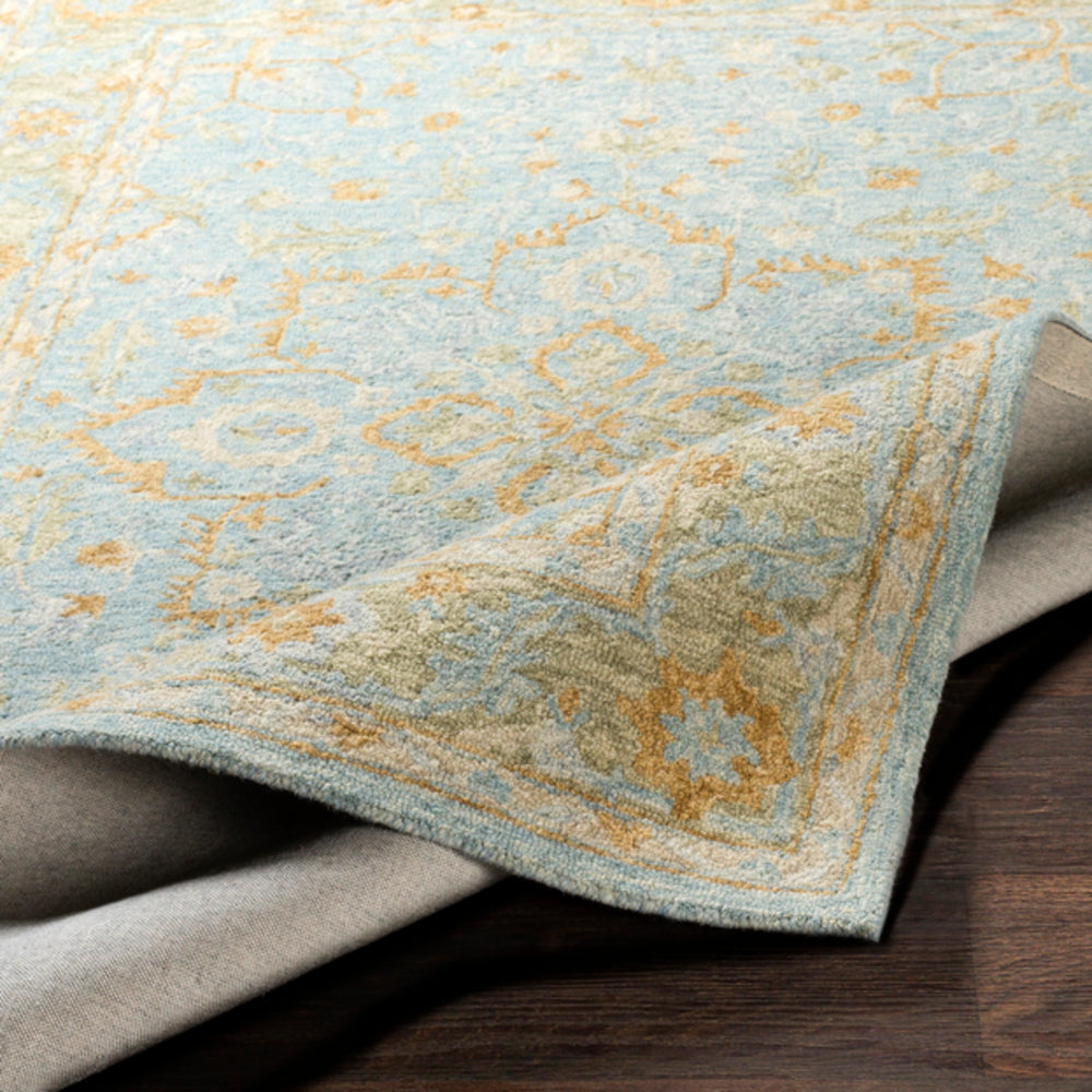 Surya Panipat PNP-2309 Area Rug – Incredible Rugs and Decor