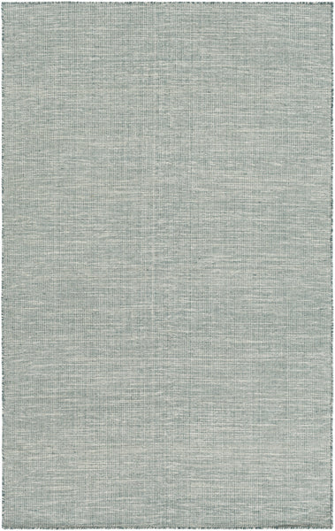 Surya Pipton PPT-6007 Area Rug – Incredible Rugs and Decor