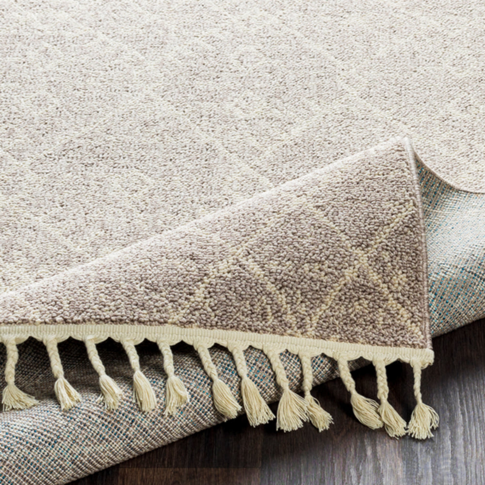Surya Restoration REO-2310 Area Rug – Incredible Rugs and Decor