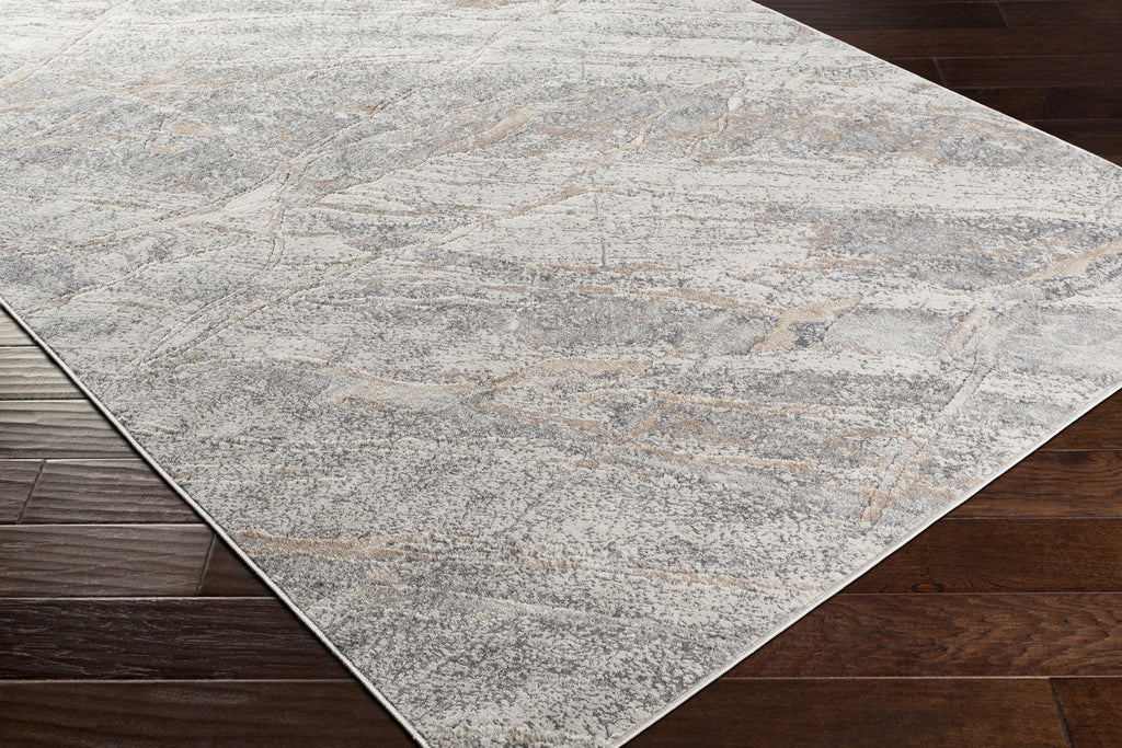 Surya Remy RMY-2313 Area Rug – Incredible Rugs and Decor